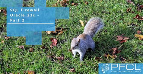 Limited On Linkedin Oracleace 23c Firewall