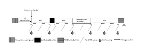 Experimental Trial Schematic Download Scientific Diagram