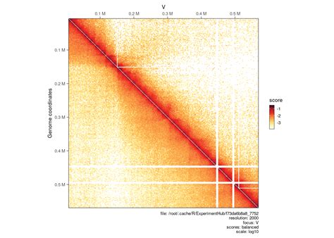Orchestrating Hi C Analysis With Bioconductor Hi C Data Visualization