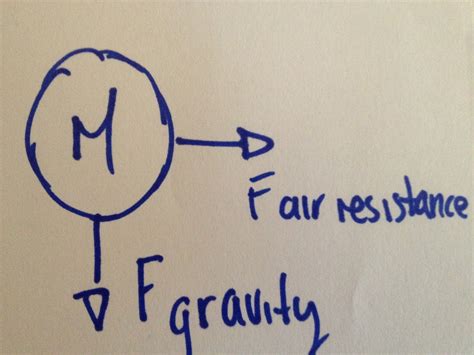 Projectile Predictions Physics