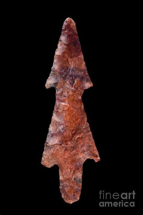 Neolithic Arrow Head Photograph By Pascal Goetgheluck Science Photo Library Fine Art America