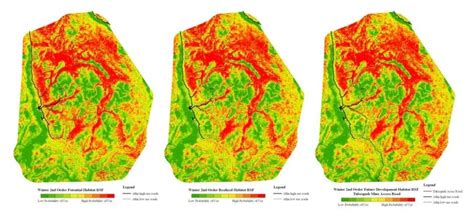 Second Order Winter Resource Selection Function Maps Of The Potential