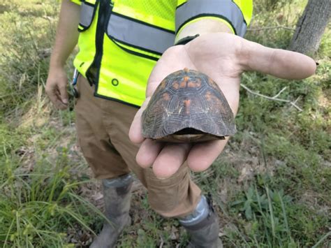 Anum K On Linkedin Summerinternship2023 Internship Dewberry Environmentalscience