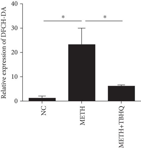 Effects Of Meth And Tbhq On Ros In Rat Vta Cells A Ros Production In