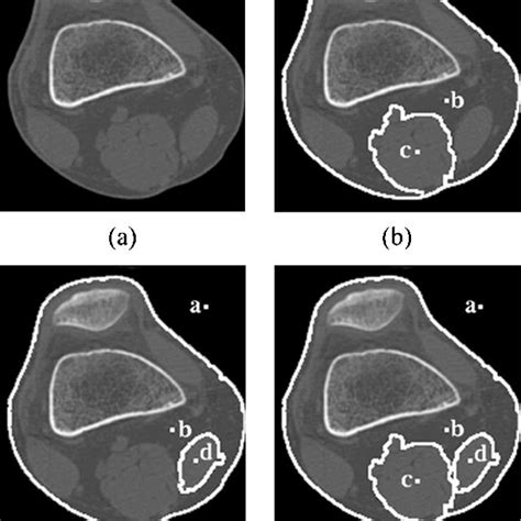 example of segmentation obtained in the single object experiments left
