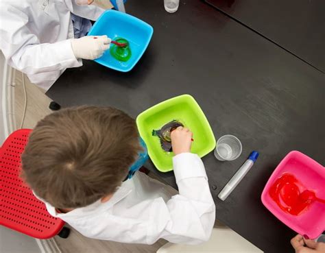 Lumea Descoperită Prin Experimente De Copiii De La Grădinița Cu Program Prelungit Nr 7 Sebeș