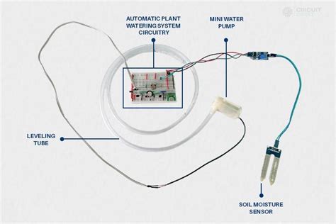 Simple Diy Automatic Plant Watering System Circuit Assembly And Demo
