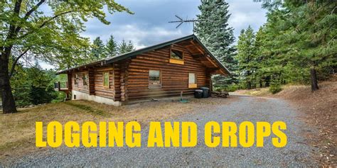 Logging And Crops V1 0 Fs19 Mod