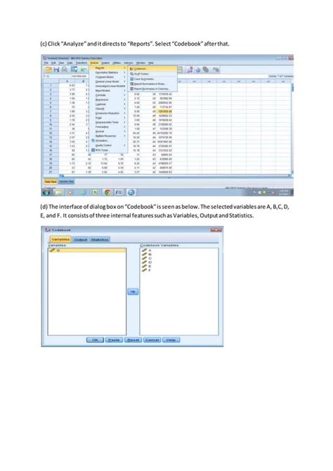 Code Book Using Spss Docx