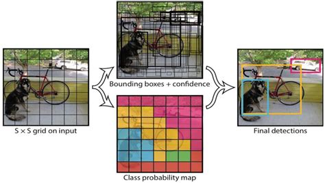 Figure 1 From Alzheimers Diseases Classification Using Yolov2 Object Detection Technique