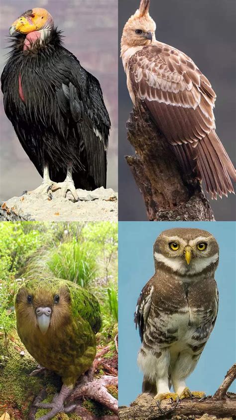 Sex Tips Popular Sex Advice You Need To Avoid Times Of India