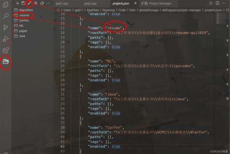 【编辑器】vscode项目管理器——project manager project manag吗vs code csdn博客