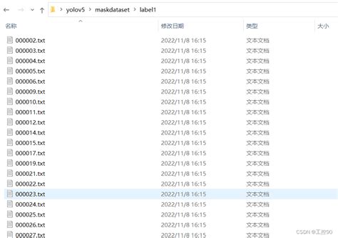 yolov5 口罩检测模型训练及测试 yolov5 detect py测试一张图片 csdn博客
