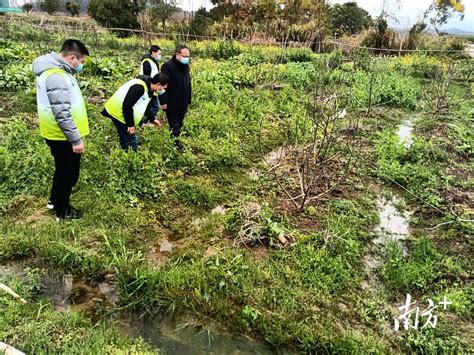 连州镇开展禁种铲毒踏查行动，确保“零种植、零产量”段灿毒品植物