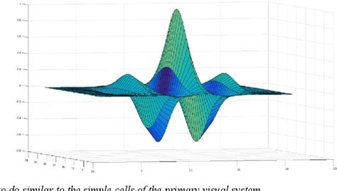 Figure 1 From Rotational Invariant Biologically Inspired Object