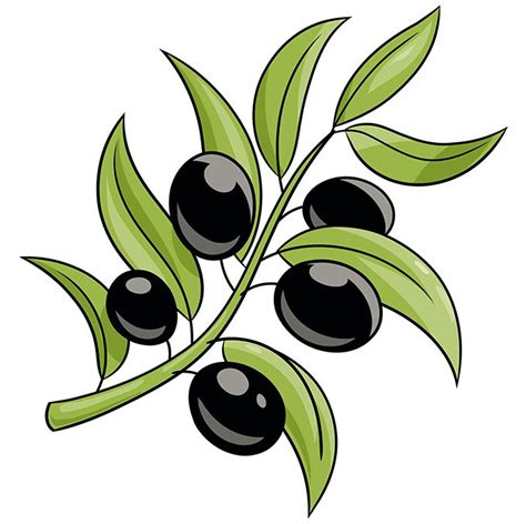 How To Draw An Olive Branch Really Easy Drawing Tutorial Branch Drawing Easy Drawings