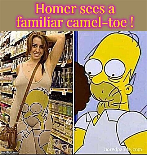 Homer Sees Double Imgflip