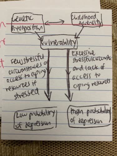 The Interactionist Approach To Schizophrenia Flashcards Quizlet