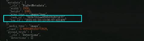 Is There Any Simple Way To Adopt Custom Metadata · Issue 2351 · Voxel51fiftyone · Github