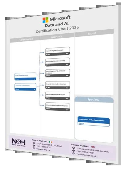 Latest Microsoft Certification Paths Nexus Human