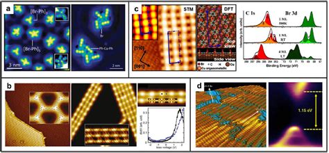 A Stm Investigation Of The Intermediate Organometallic Phase In