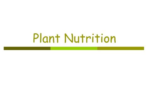 Plant Reproduction Worksheet Doc