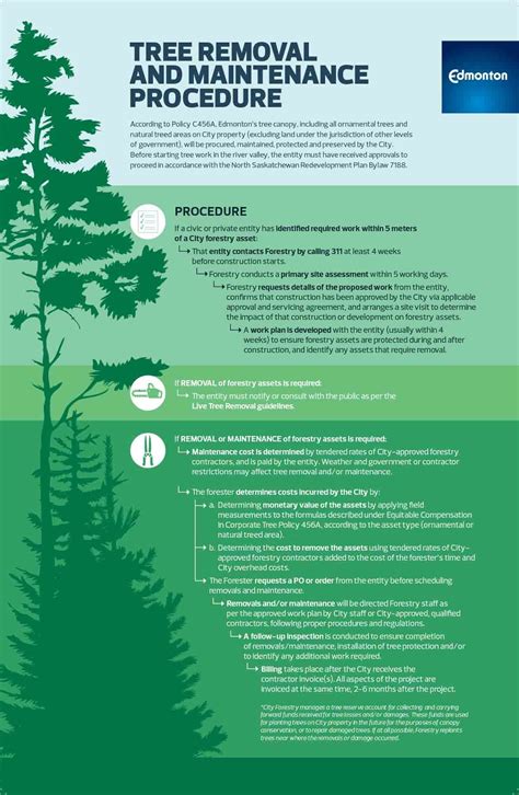 Tree Removal Guidelines City Of Edmonton Bucketduck Inc