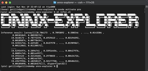 GitHub IsLinXu Onnx Explorer Onnx Explorer More Features