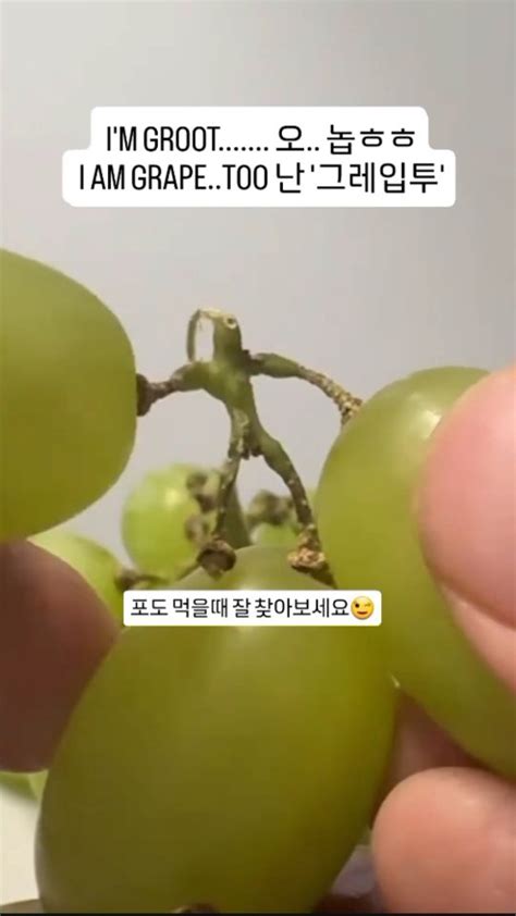 김봉수 N잡러 👉 N잡놈🤗 이리와의 또다른 냥이 언어 🐈🐈‍⬛🐱 아아오 한 번 해보세요 For More Information And News Follow