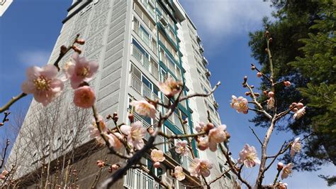 아버지 당신의 마음이 Youtube