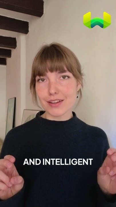 What Is A Vector Database Youtube