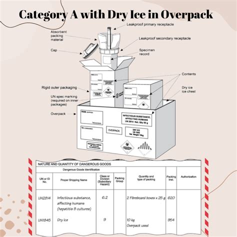 A Complete Guide To Air Shipping Infectious Substances In Iata