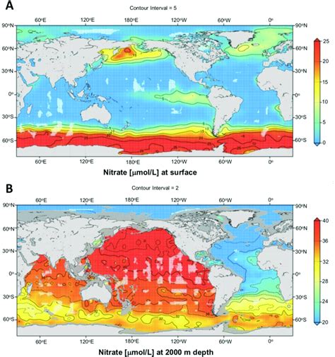 Nitrate No 3 − Concentrations For Oceanic Surface A And Deep Download Scientific Diagram