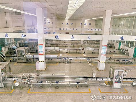 重游，华润旗下景芝酒厂！ 大家好我是帅大叔，2022过半，趁着周末重游华润旗下的景芝酒厂。华 润时代下的景芝酒！在景芝酒厂博物馆讲解员介绍了景