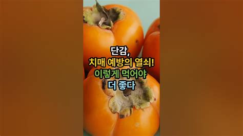 단감 치매 예방의 열쇠 이렇게 먹어야 더 좋다 Youtube