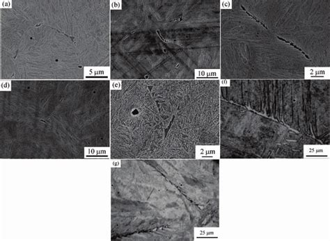 A G Sem Images And Optical Micrographs Showing Onset Of Grain Download Scientific Diagram