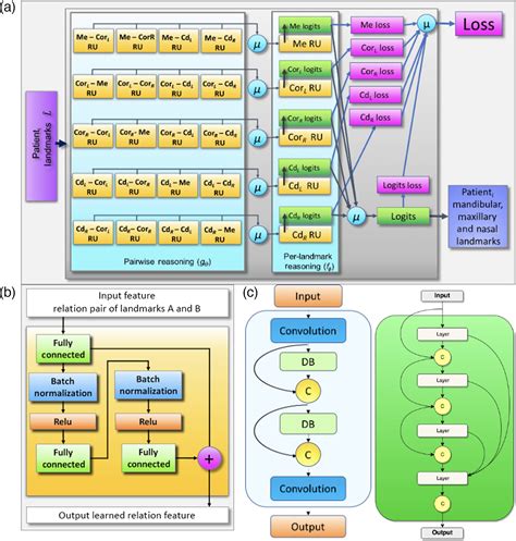 Relational Reasoning Network For Anatomical Landmarking
