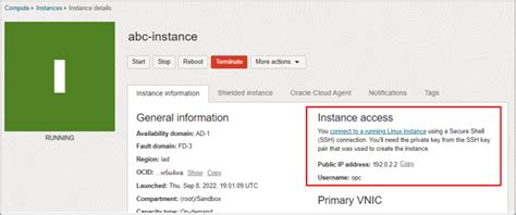 Launching A Linux Instance