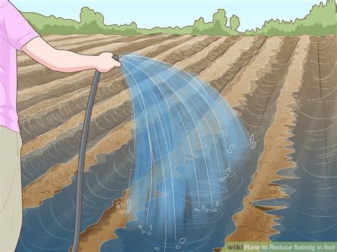 3 Simple Ways To Reduce Salinity In Soil WikiHow