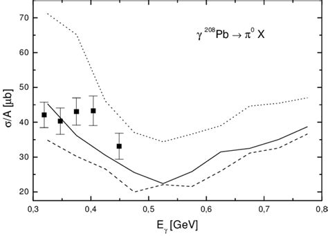 Total π 0 Photoproduction Cross Sections On 208 Pb The Experimental