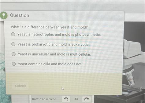Solved Questionwhat Is A Difference Between Yeast And