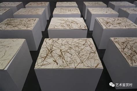 IAPA 张广慧关于纸浆作品的诠释 国际学院版画联盟