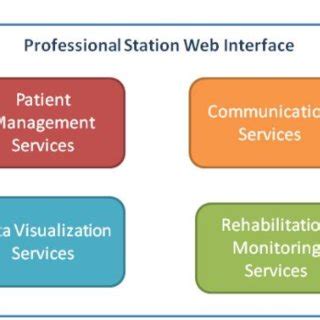 Services Integrated Into The Professional Client Interface Download Scientific Diagram