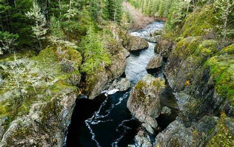 Access Global Group On Linkedin How Salesforce Consultants Fill Gaps