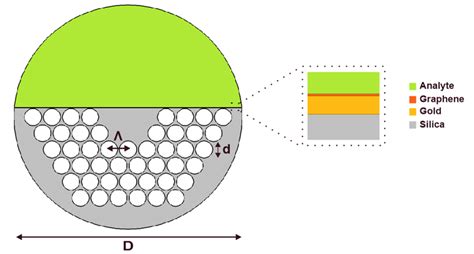 Cross Section Of The Graphene Based D Shaped Photonic Crystal Fiber Sensor Download