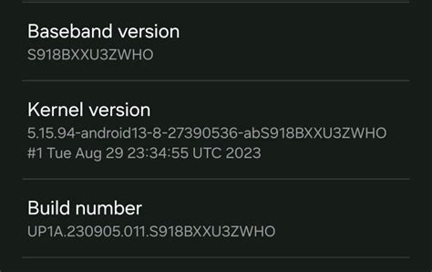 Samsung S One UI Beta Brings Stable Android To Galaxy S Series