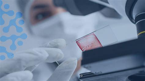 Tıbbi Laboratuvar Testlerinde Kullanılan Modern Teknolojiler Arşivleri Ena Laboratuvarları