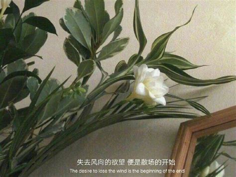 你怎么想的我，我就怎么做给你看， 不把罪名坐实了