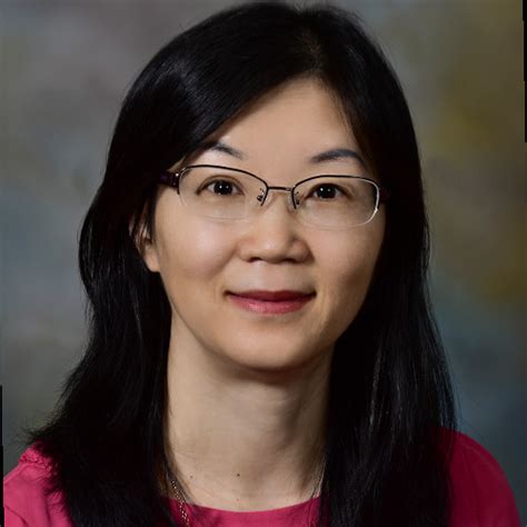 Linda Liu Greater Chicago Area Professional Profile Linkedin
