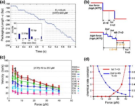Stochastic Simulation Results Under High Load Forces A A Sample